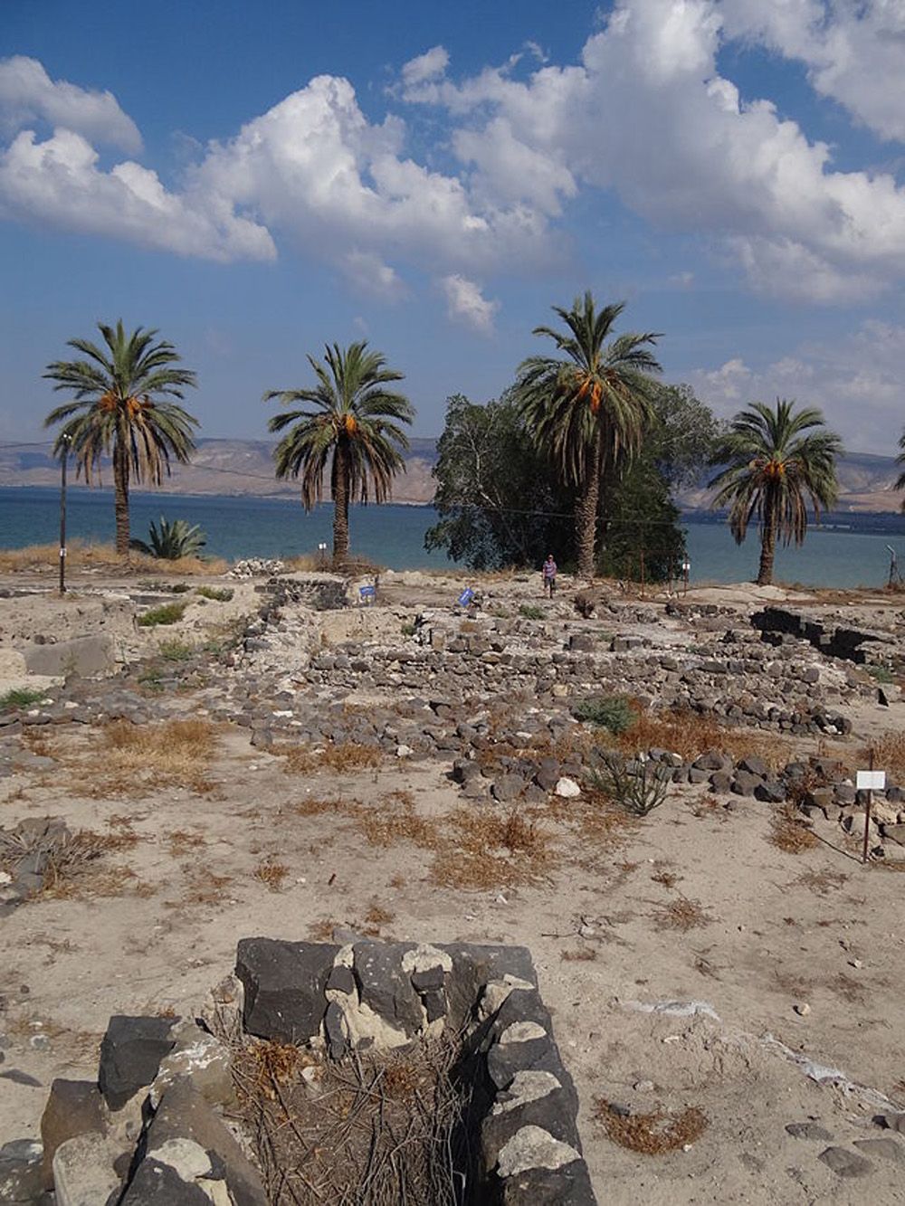 Photos: 5,000-Year-Old Stone Monument in Israel | Live Science