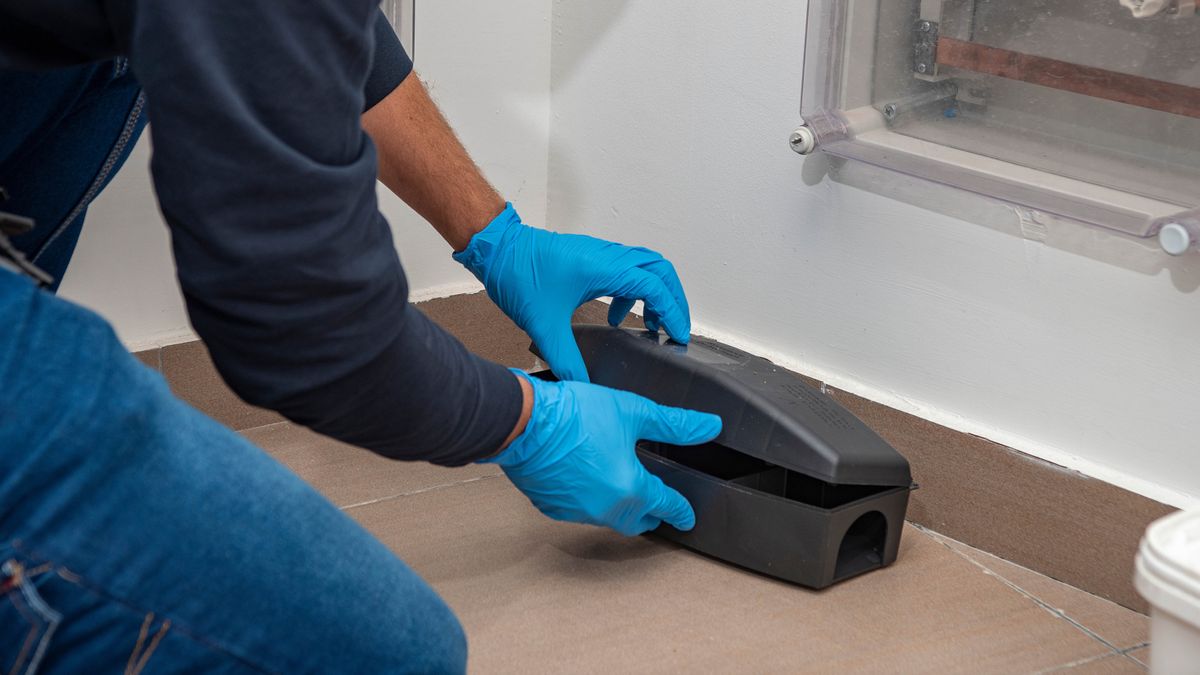 How to get rid of rats quickly and safely | Tom's Guide
