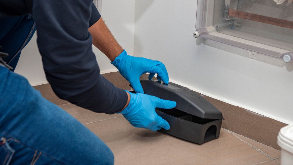 How to get rid of rats quickly and safely | Tom's Guide
