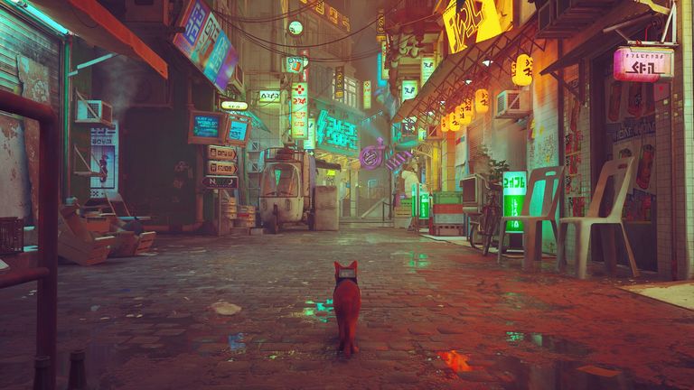 Stray review | PC Gamer