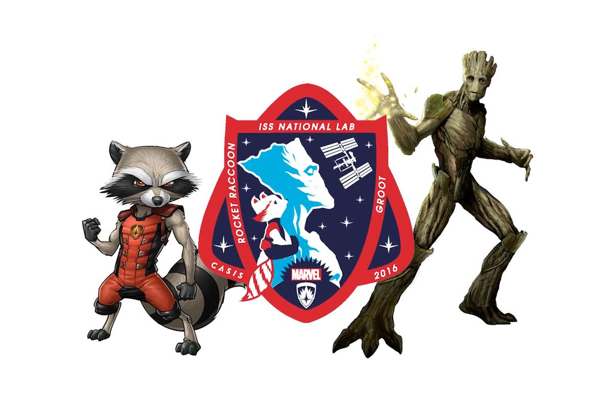 Marvel's Rocket Raccoon and Groot Star on Space Station Mission Patch ...