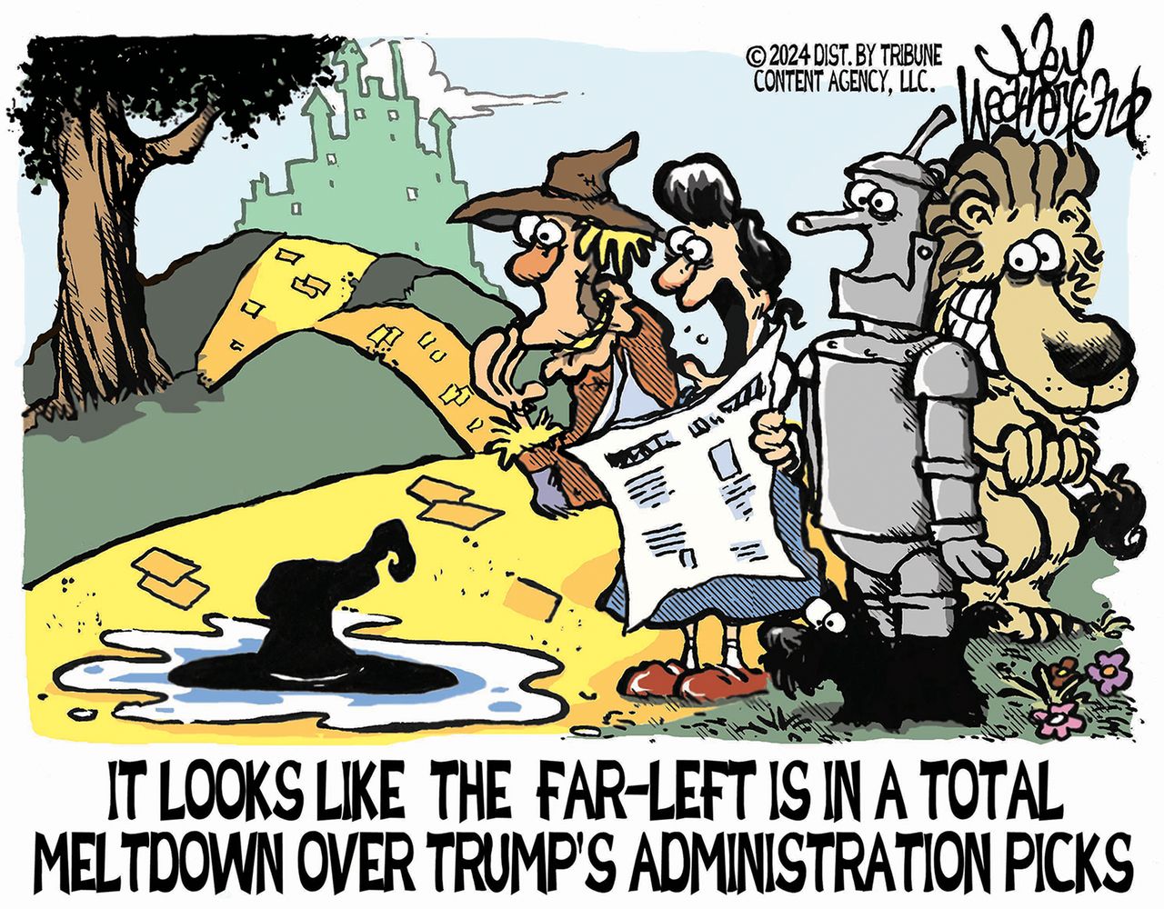 5 wild card cartoons about Trump's cabinet picks | The Week