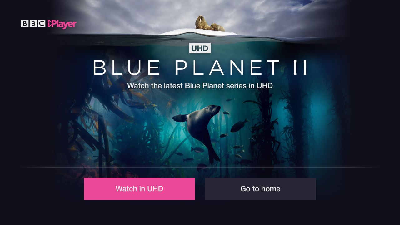 Blue Planet 2 will be available in 4K HDR for the first time on BBC ...