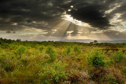 The Bogs of Britain, from 'godforsaken wasteland full of dangers' to ...