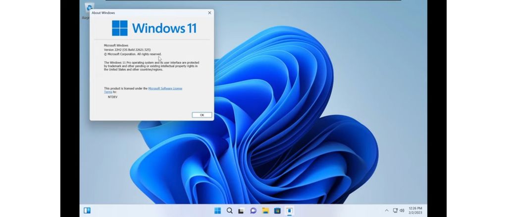 Tiny11 review: Windows 11 with only 2GB of RAM | IT Pro