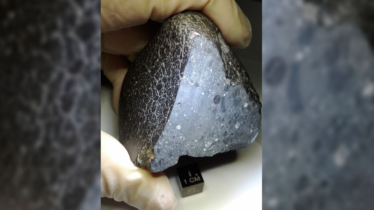 Martian meteorite that fell to Earth is full of ancient water, new ...