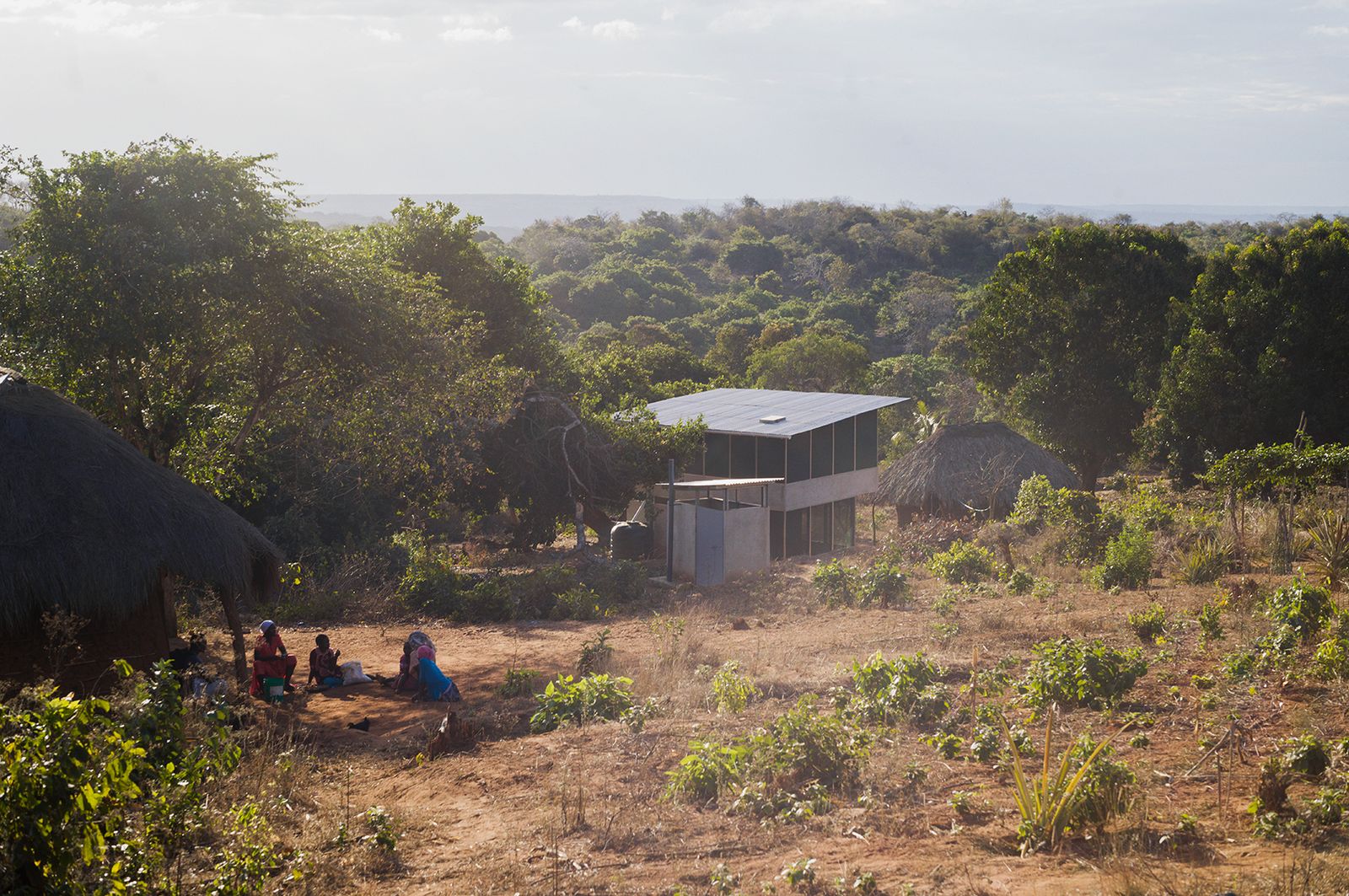 Star Homes launches in Tanzania | Wallpaper*