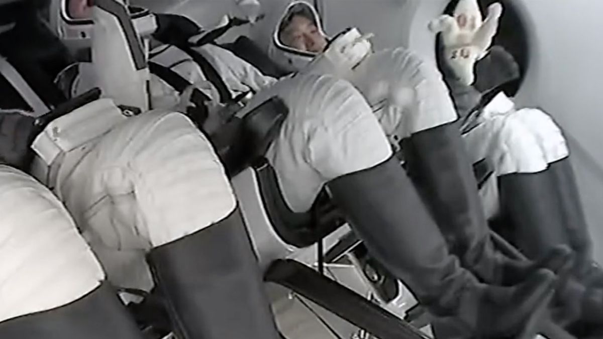 SpaceX Crew-10 folds traits, hopes into origami crane zero-g indicator ...