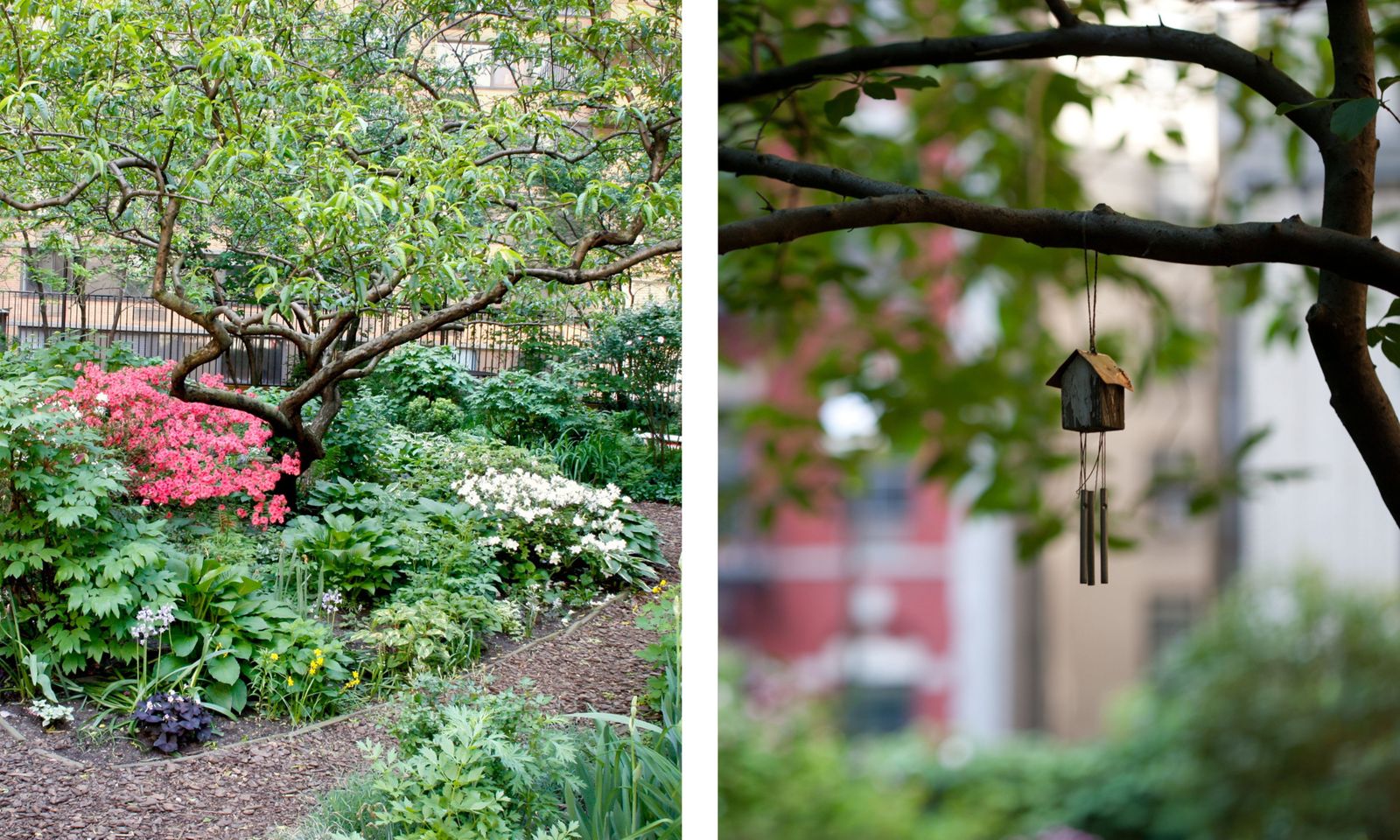 Beyond Wild Expectations: The Lotus Garden, New York City | Homes and ...