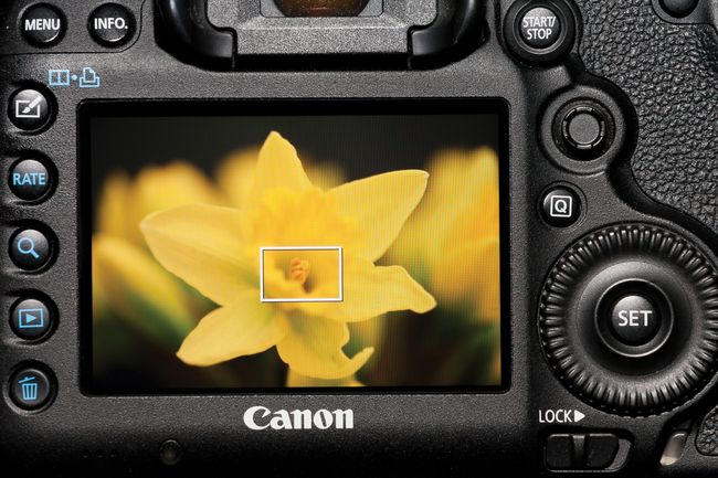 50 Canon camera tips: Everything you need to get the best out of your ...