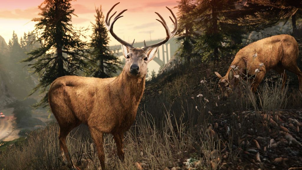 GTA Online Peyote Plant locations | PC Gamer