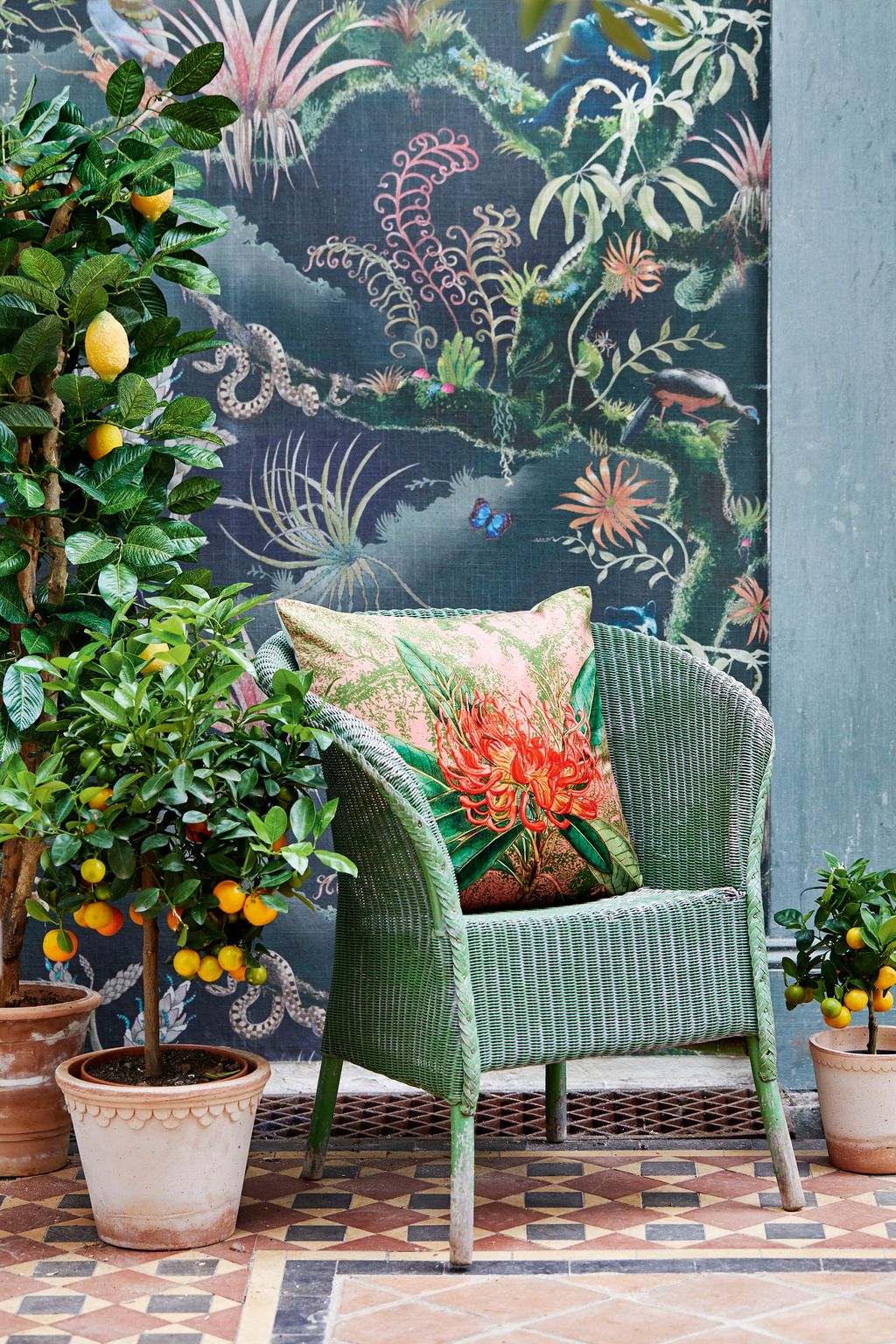 How to grow lemon from seed | Homes and Gardens