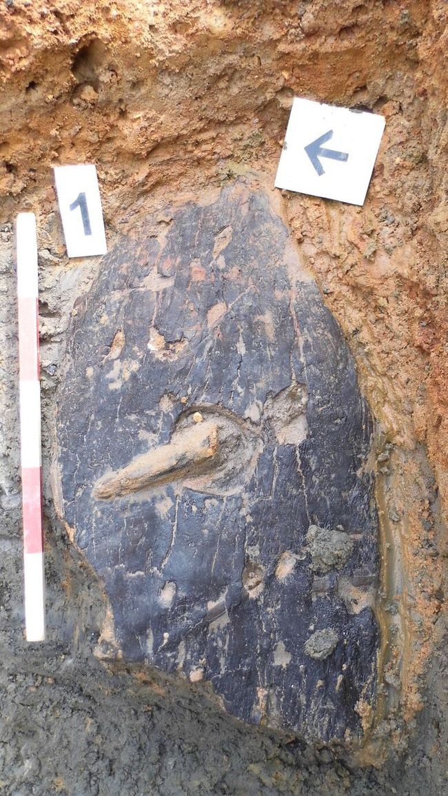 New Iron-Age Shield Made of Bark Discovered in Leicester | Live Science