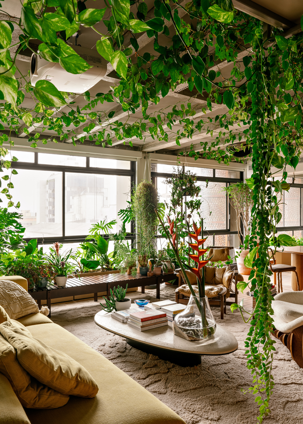 I'm an Architect Who Has Grown Hundreds of Plants Across My Biophilic ...