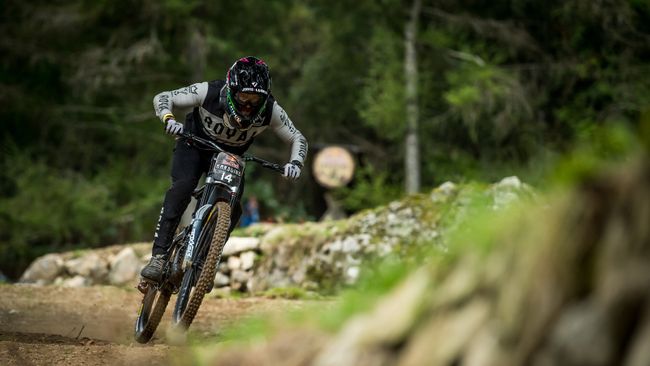 Joe Smith’s Red Bull Hardline 2022 custom Vitus Dominer | Bike Perfect