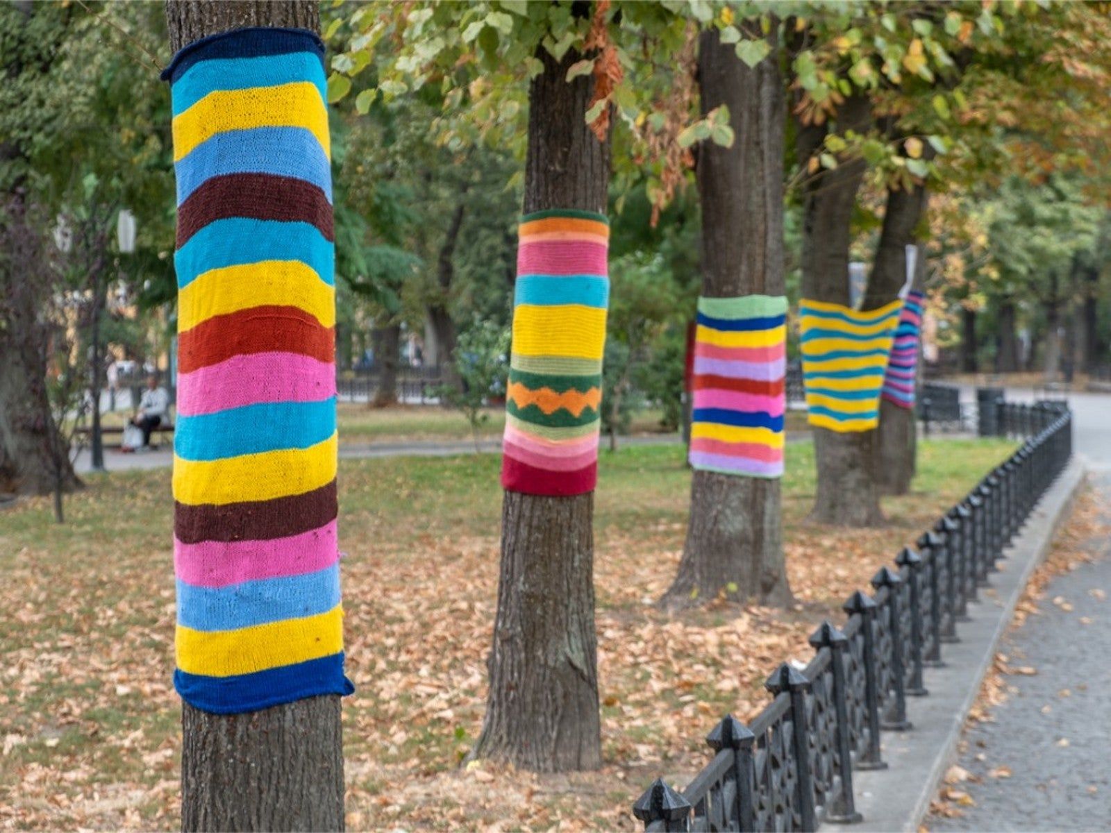 Yarn Bombing: What’s The Deal With Knitting On Trees? | Gardening Know How