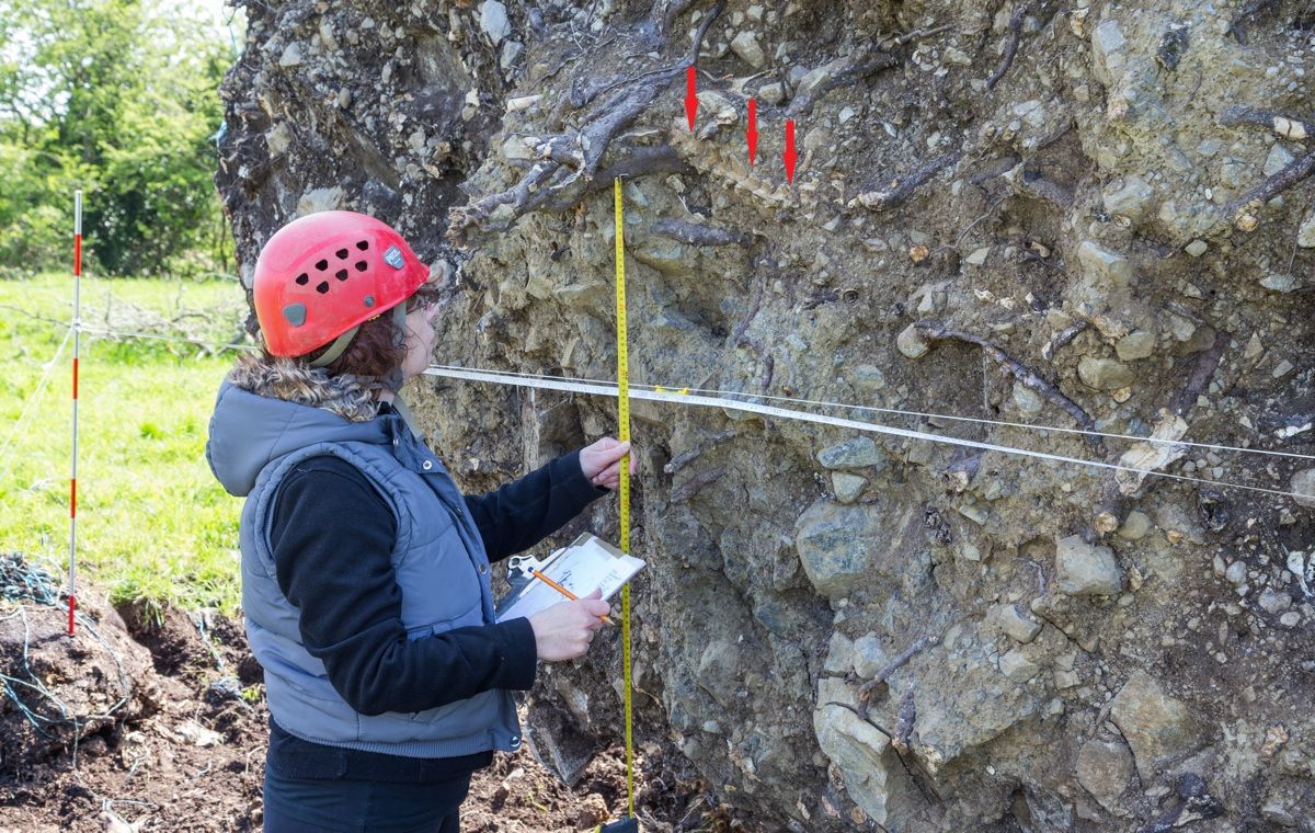 In Photos: Medieval Skeleton Entangled in Tree Roots | Live Science