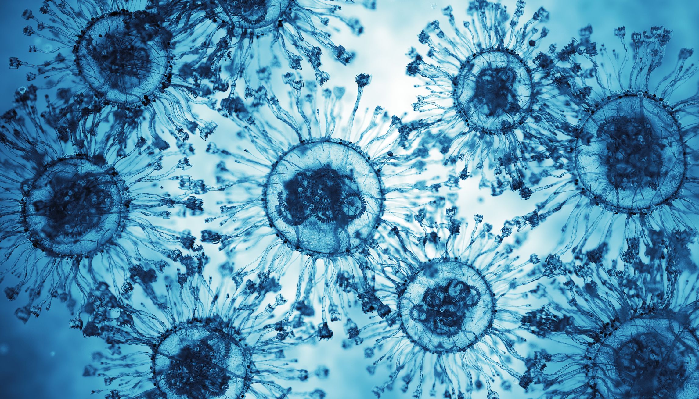 Cash in on the biotech boom with three European stocks | MoneyWeek