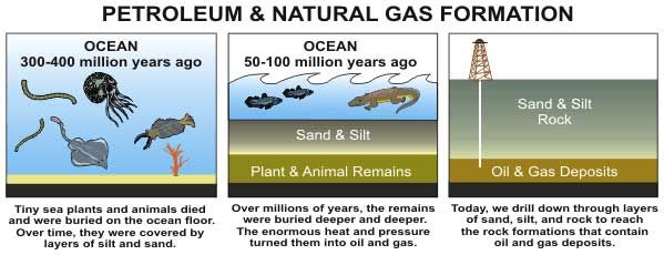 The Chemistry of Life: Where Oil Comes From | Live Science