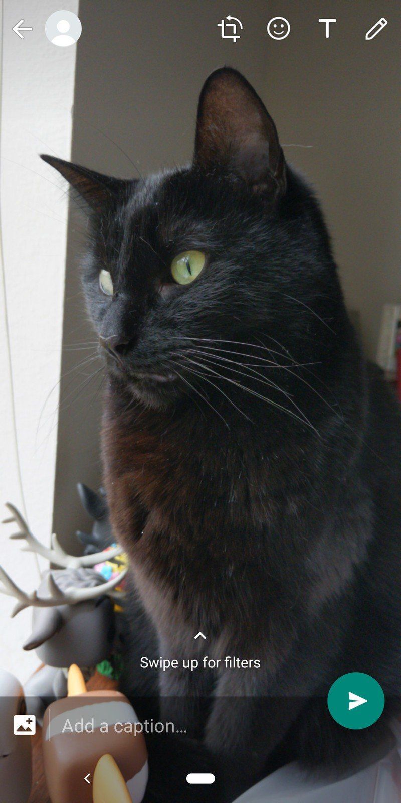 How to set up and start using WhatsApp for Android | Android Central