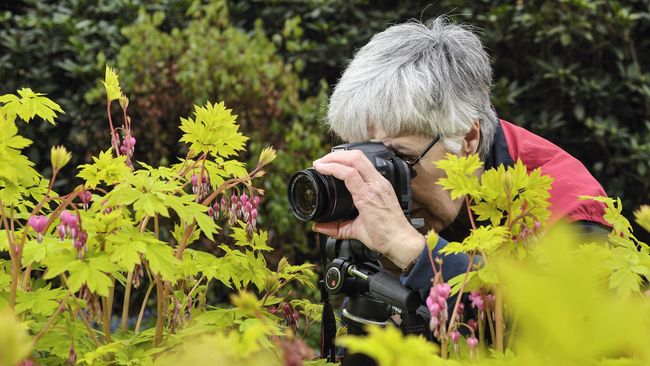 Best camera for macro photography in 2022 | Digital Camera World