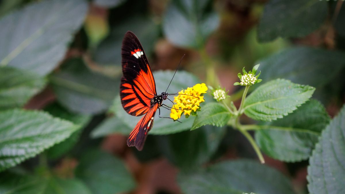 Are you using the right creative mode for your photos? | Digital Camera ...