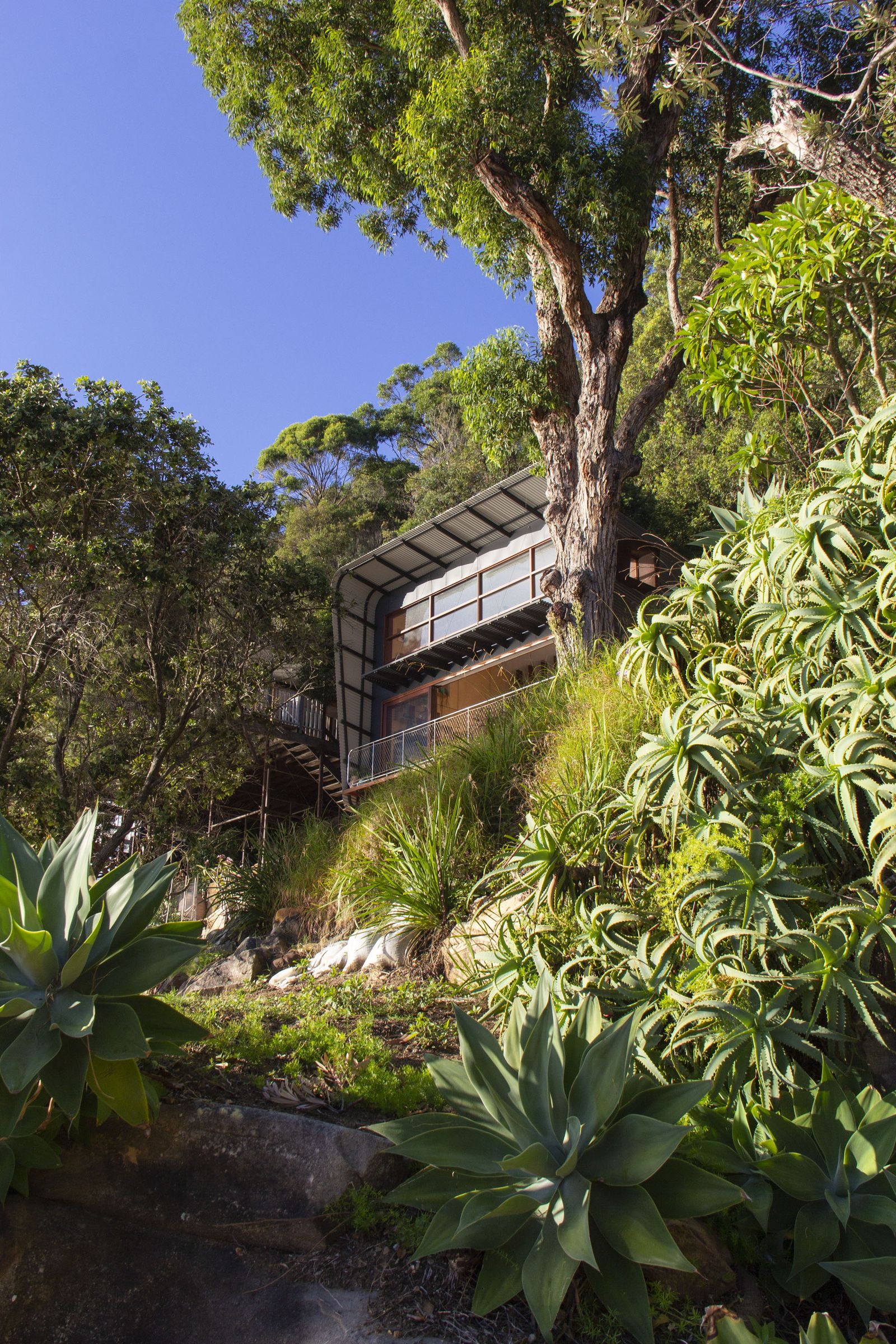 Casey Brown’s sustainable beach shack in Australia | Wallpaper*