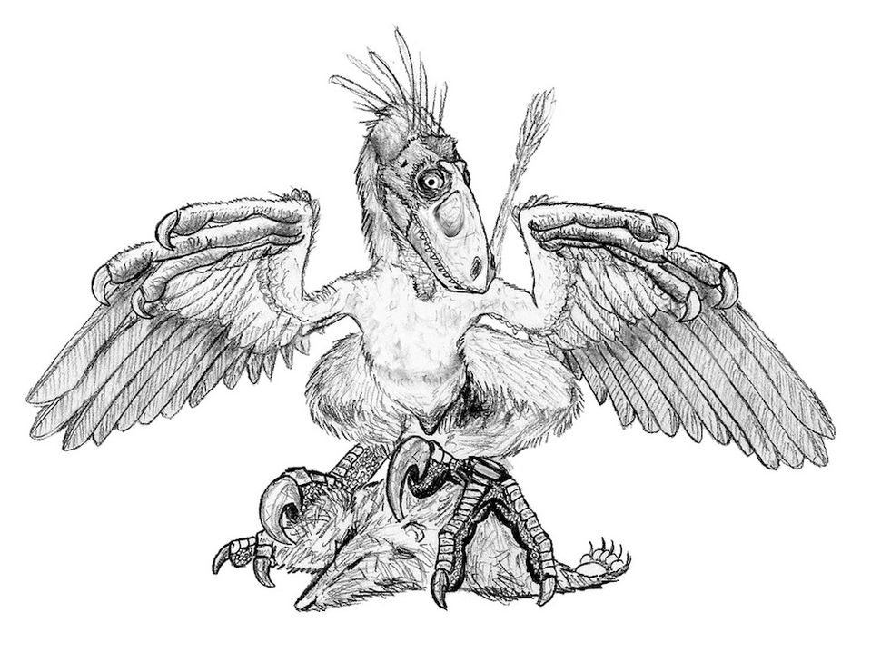 Velociraptors Killer Claws Helped Them Eat Prey Alive Live Science