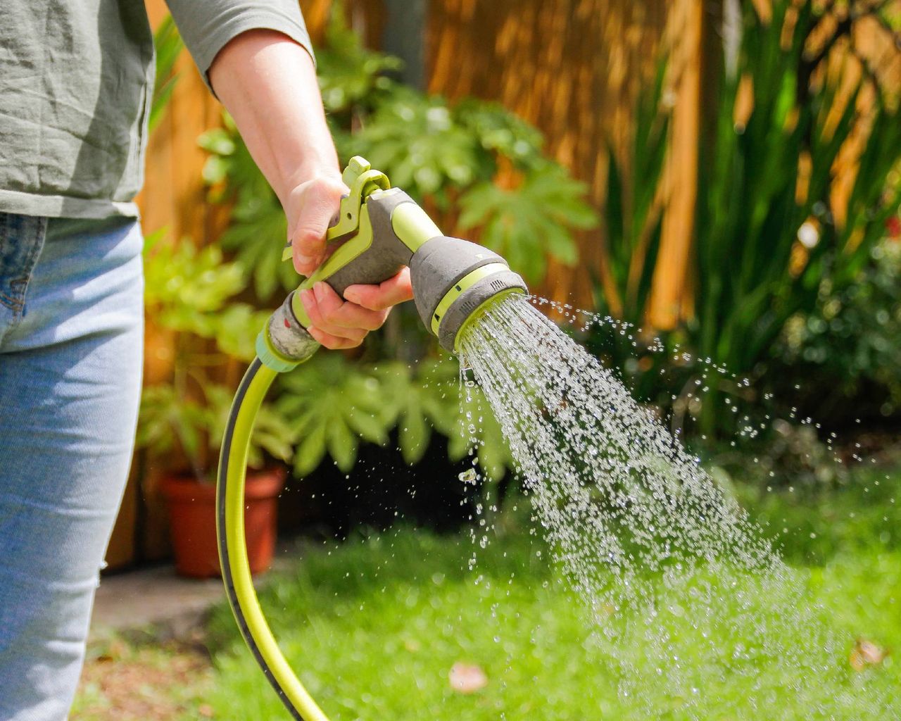 5 Care Tasks for Azaleas Before June Ends | Gardening Know How