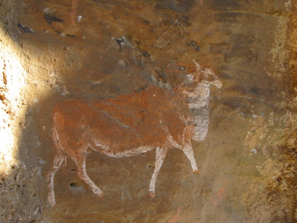 Photos: Ancient rock art of Southern Africa | Live Science