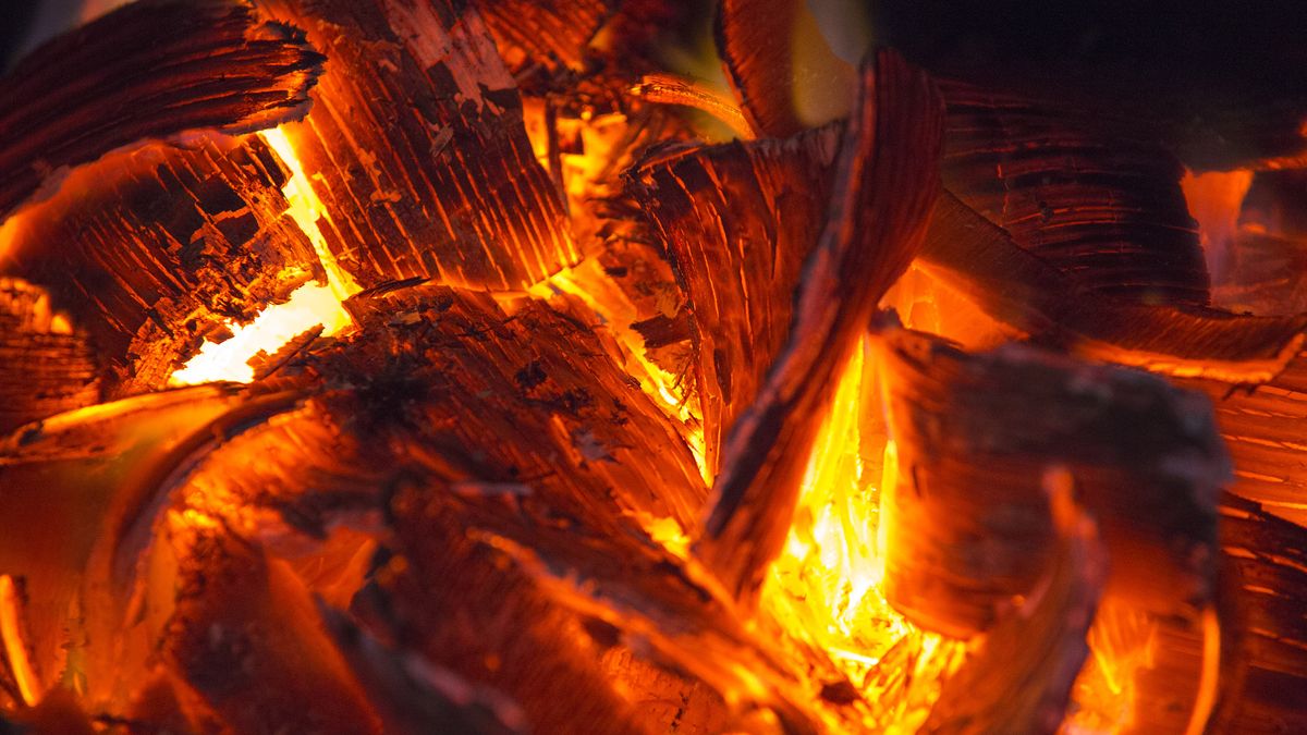 How to Light a Log Burner: A Step-by-Step Guide | Homebuilding