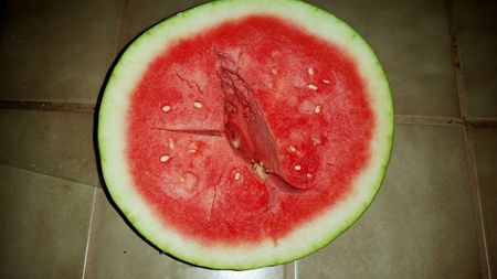 Tips & Information about Watermelons - Page 2 | Gardening Know How