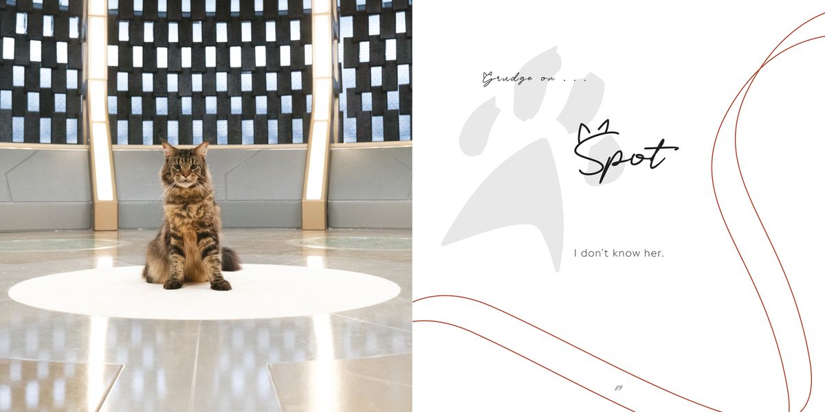 An exclusive 1st look at 'Star Trek: Discovery – The Book of Grudge ...