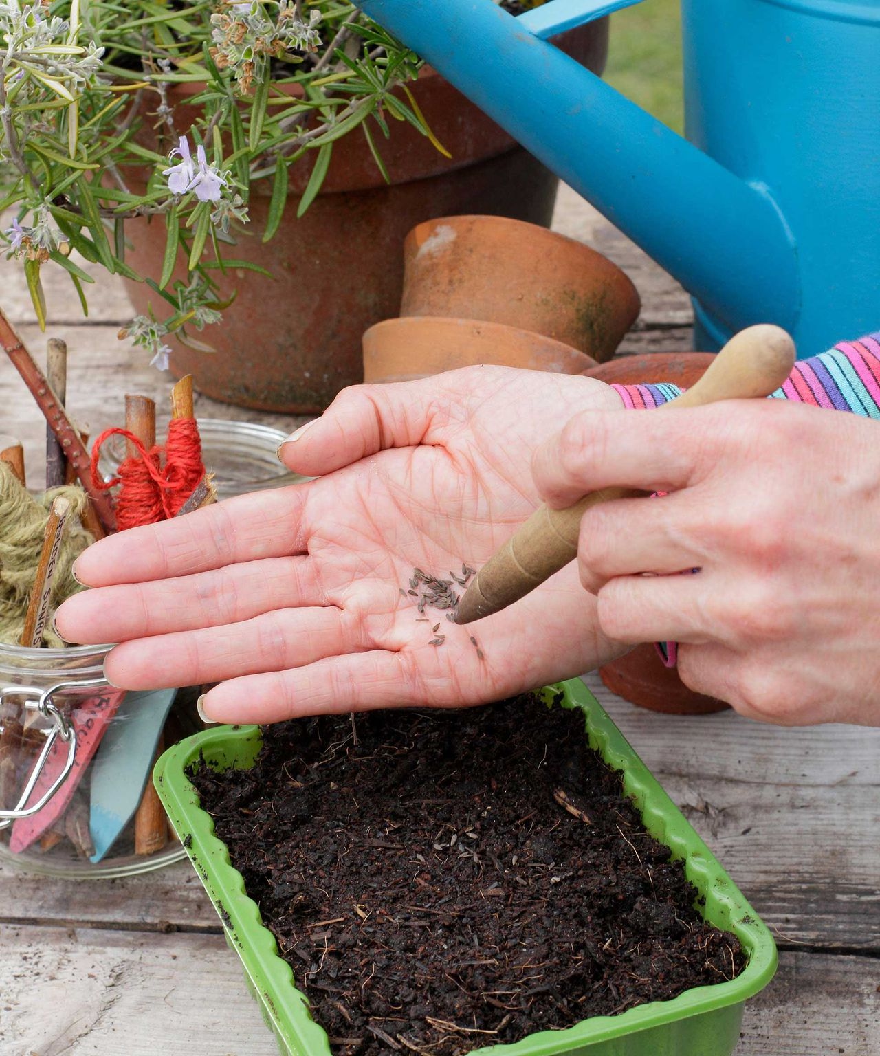 How to prepare for seed sowing: 7 game changing tips to try | Homes and ...
