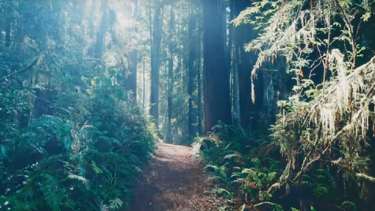 The Best HBO Max Original Shows To Stream (So Far) | Cinemablend