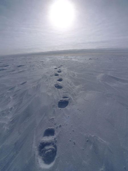 Articles by Jesse Emspak, Live Science Contributor | Live Science