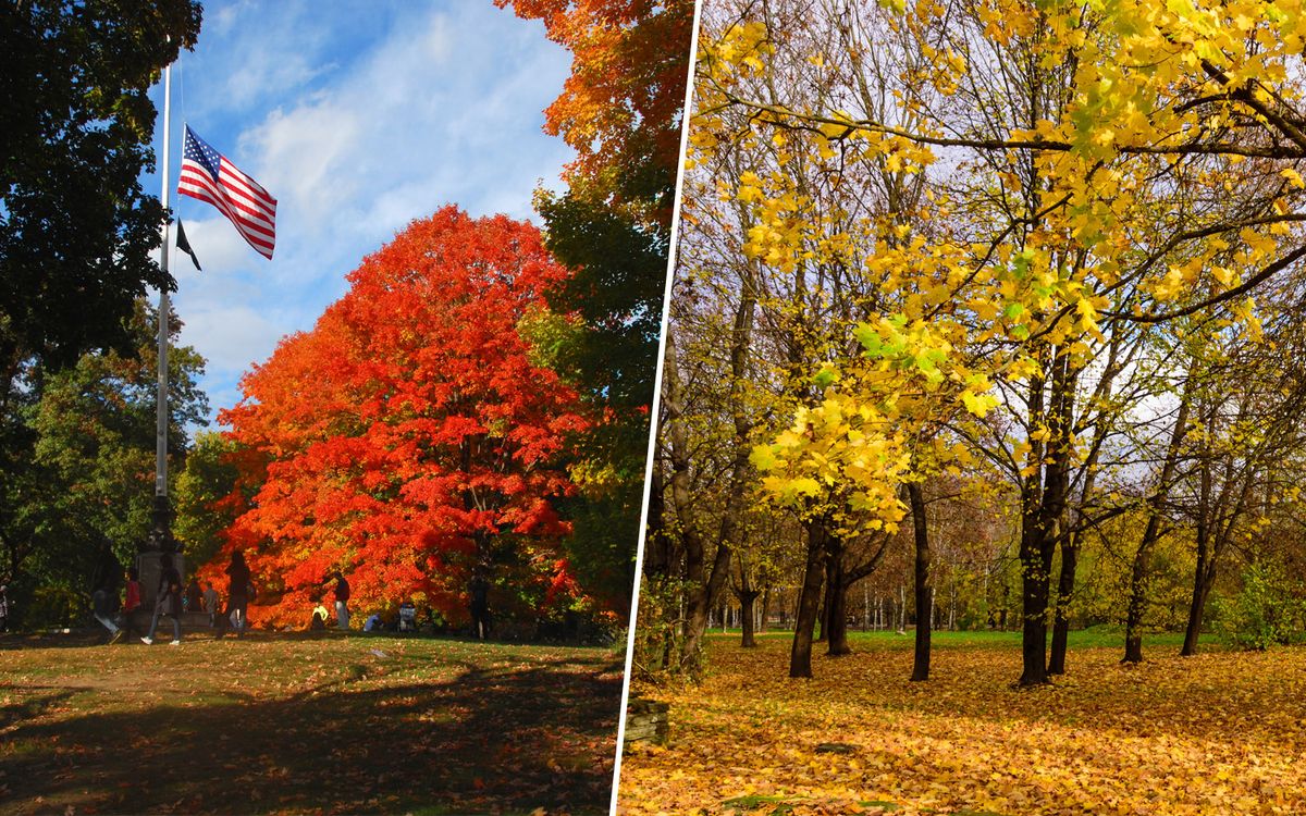 The 12 Biggest Mysteries of Fall — Solved! | Live Science