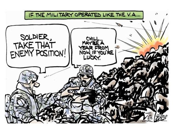Political cartoon Veterans | The Week