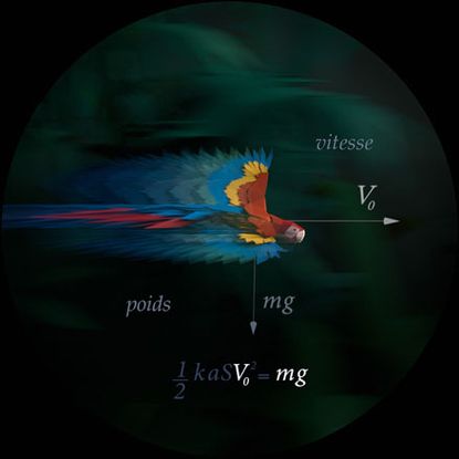 Mathematics exhibition at Fondation Cartier, Paris | Wallpaper*