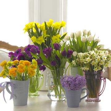 Creative ways to display vases at home | Ideal Home