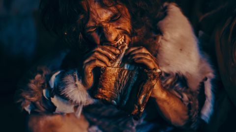 Did Neanderthals eat anything other than meat? | Live Science