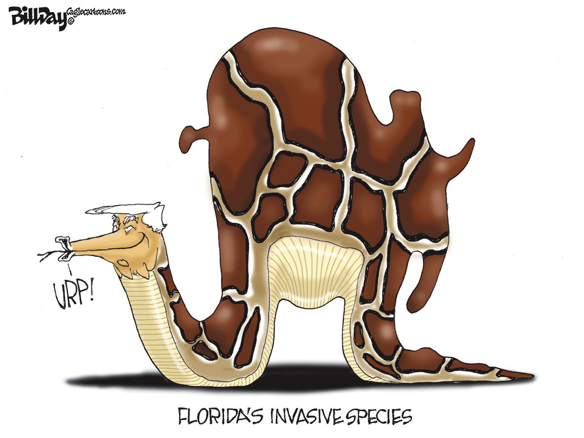 Invasive species | The Week