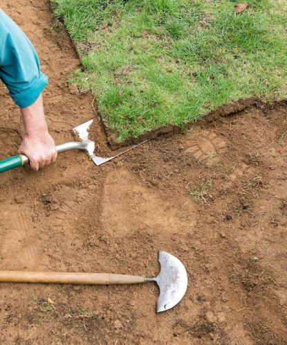 How to repair lawn patches with seed: simple steps for healthy grass ...