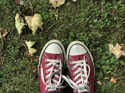 iPhone 7 Plus camera samples - the photos we took with Apple's new ...