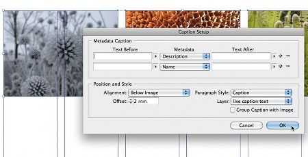 Using Live Captions in InDesign CS5 | Creative Bloq