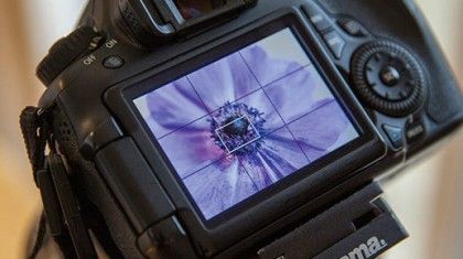 How to combine macro images for amazingly sharp photographs | TechRadar