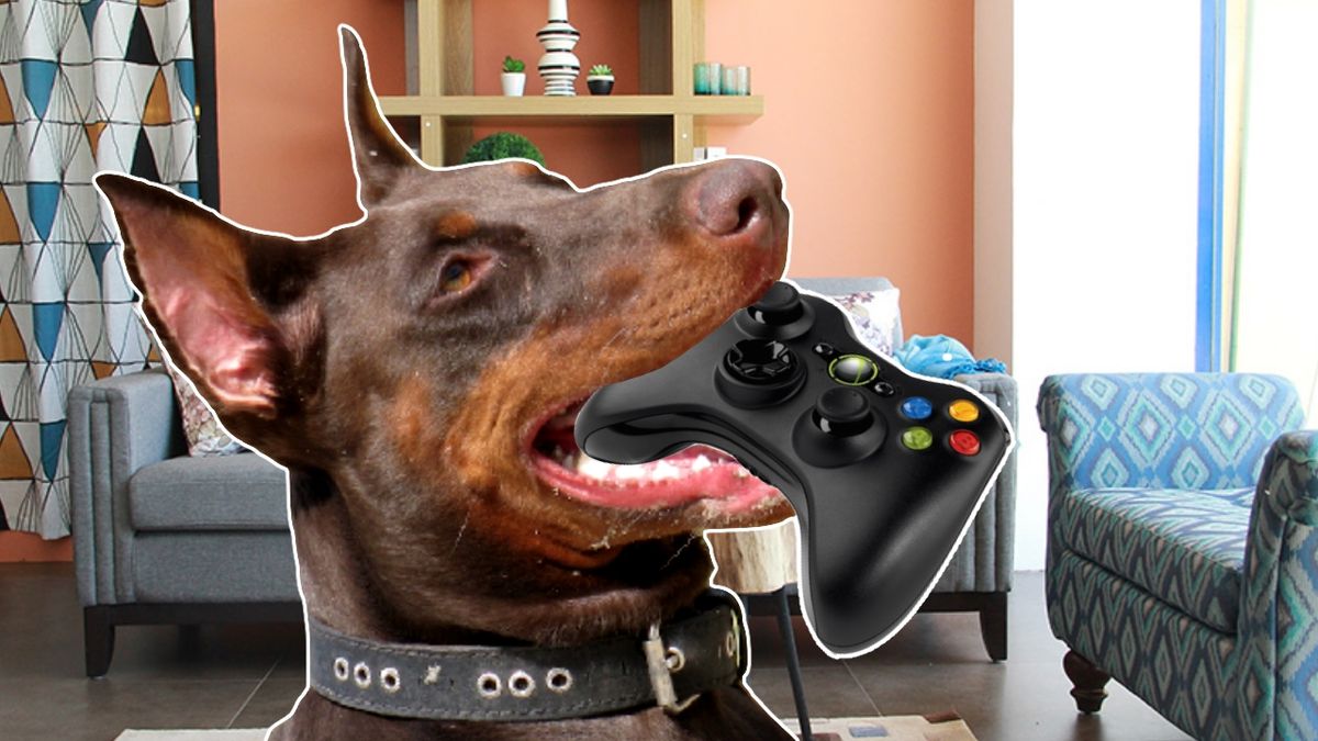 The 8 biggest excuses for poor gaming performance, reviewed and rated ...