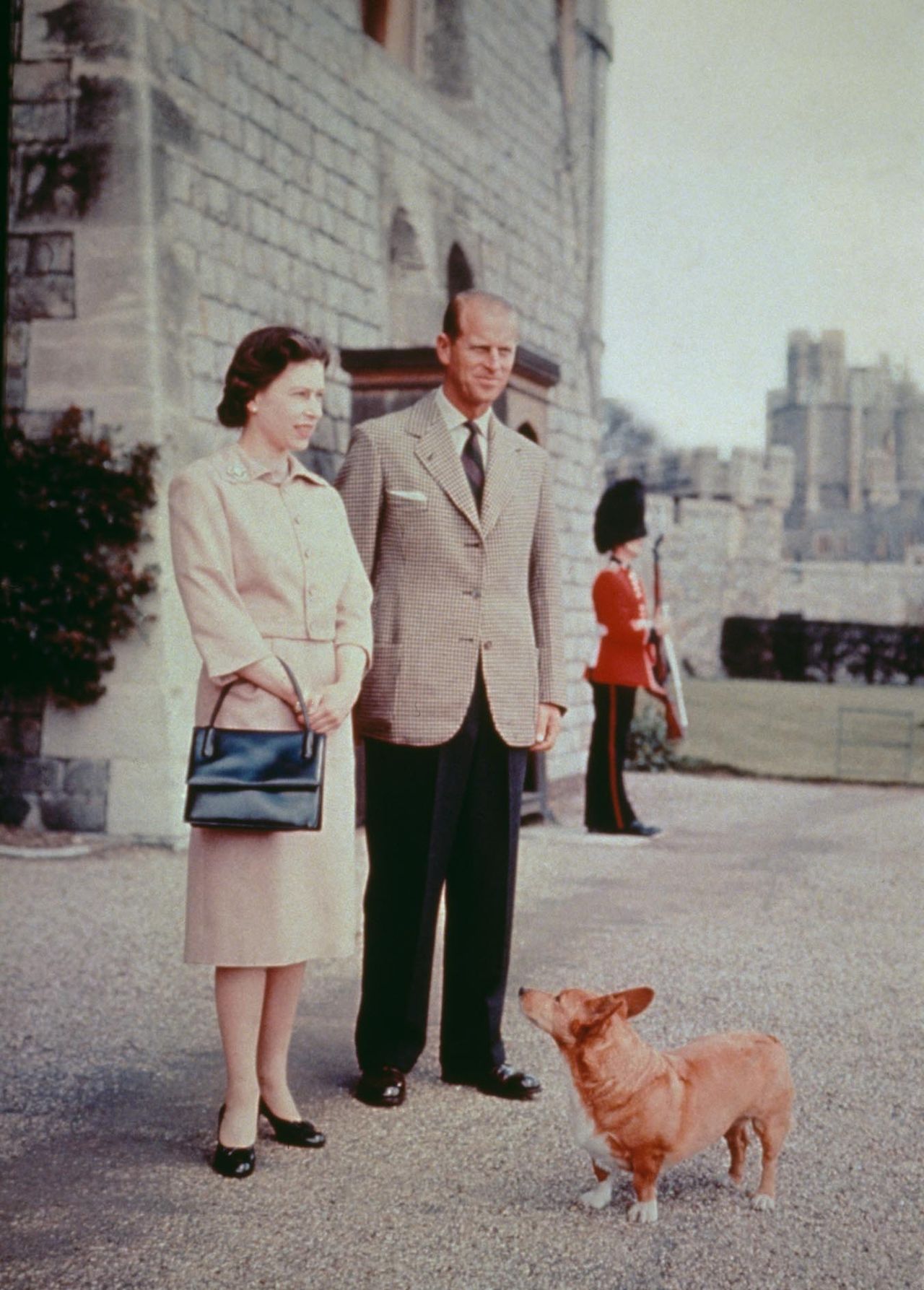 7 fabulous facts about The Queen's corgis | Country Life