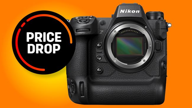 How to find your Nikon shutter count in TWO simple steps with your ...