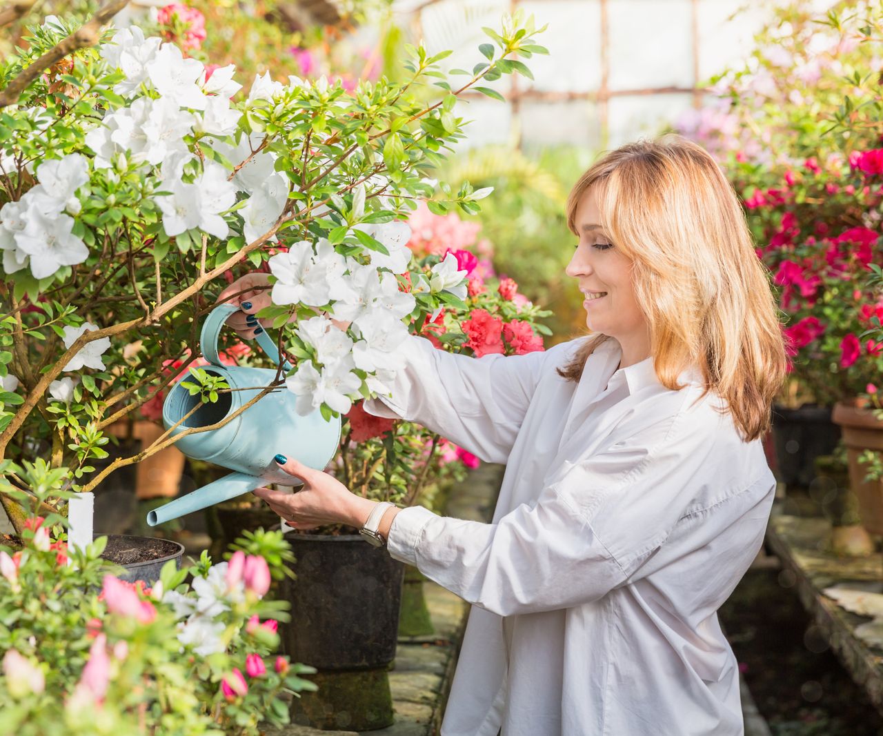Ideal Azalea Water Requirements For Lush, Healthy Shrubs | Gardening ...
